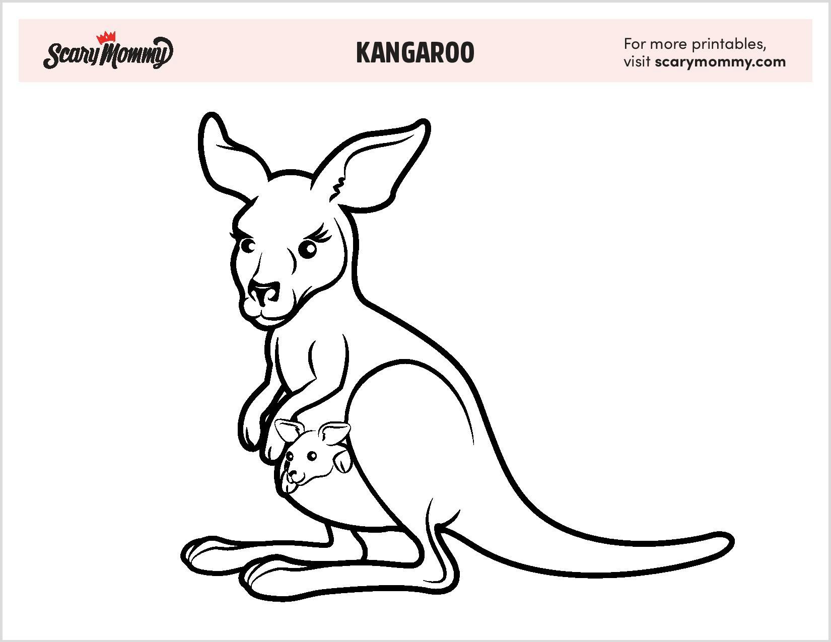12 Kangaroo Coloring Pages To Keep Your Lil Joey From Bouncing Off The ...