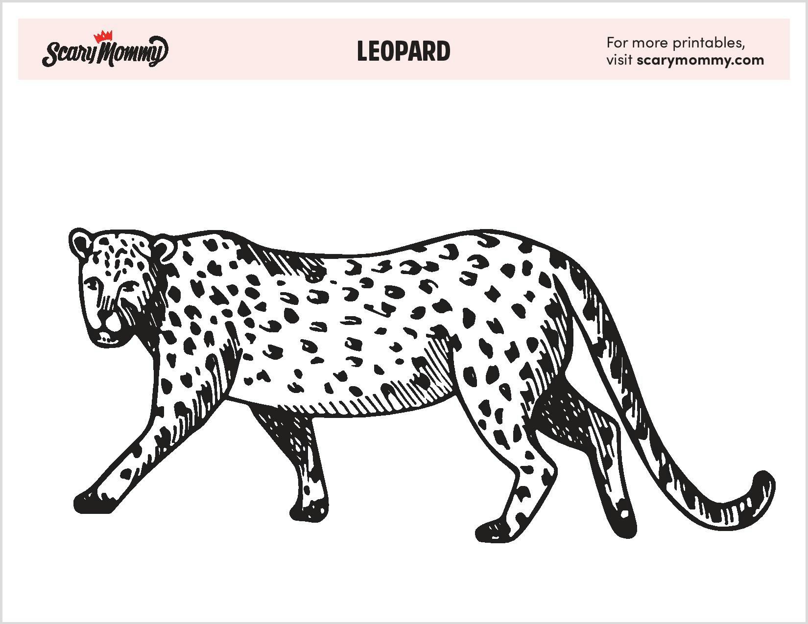 These 11 Rad And Regal Leopard Coloring Pages Are Totally Spot On