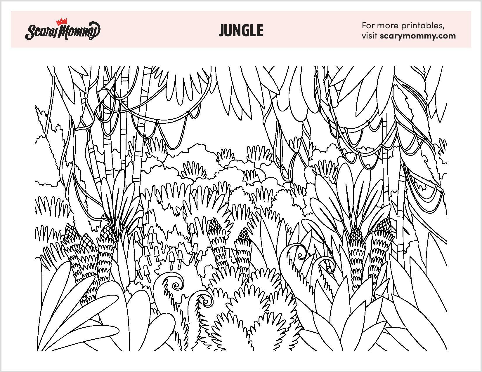 11 Untamed Jungle Coloring Pages For Your Little Wildlings
