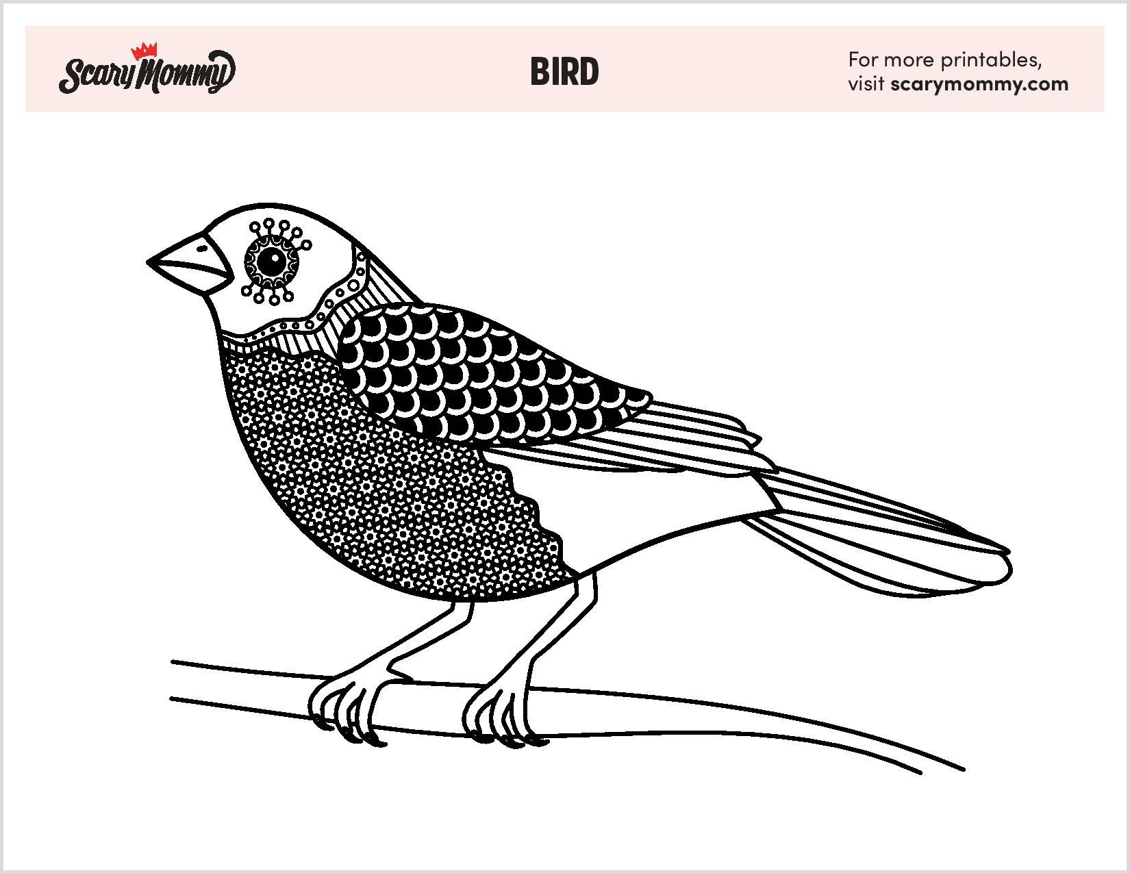 oddbird coloring page