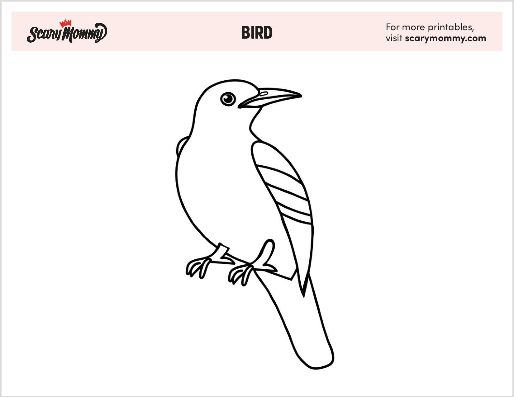 oddbird coloring page
