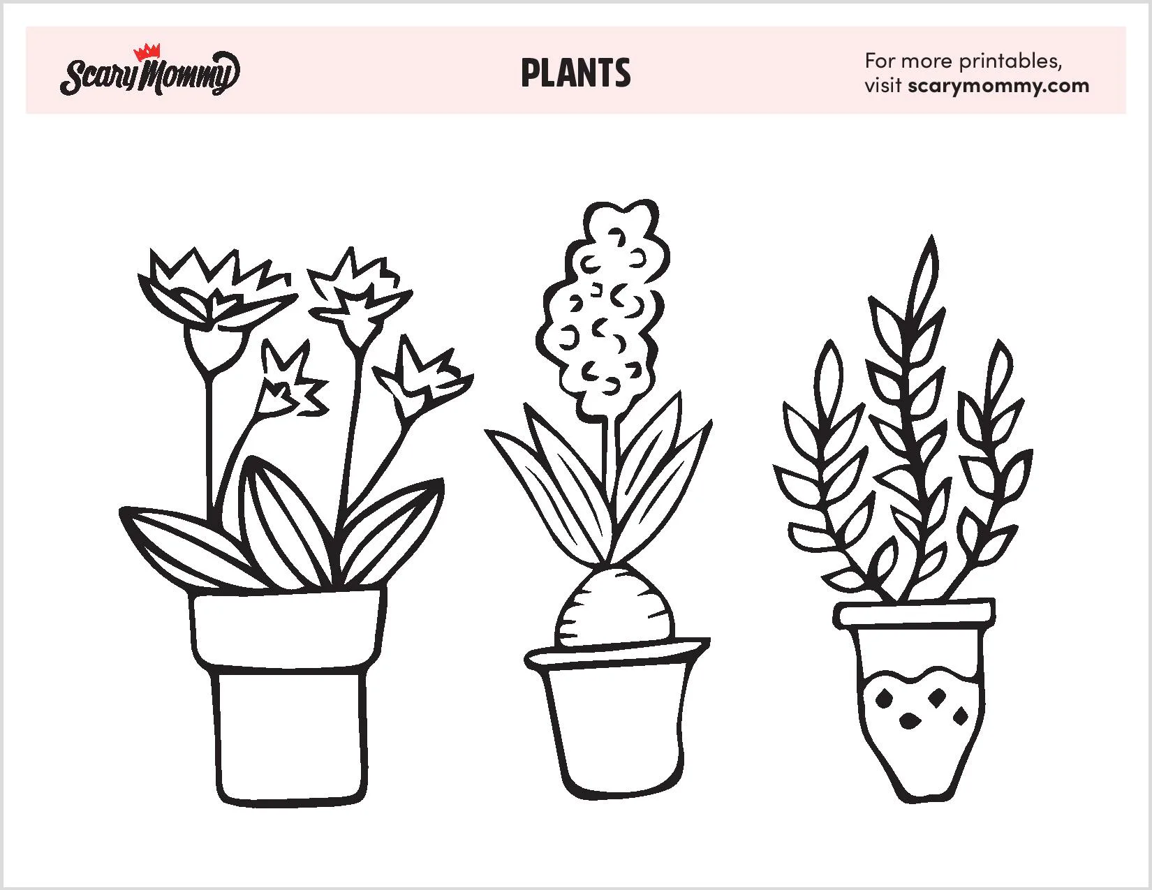 Botany Ferns Lately? 10 Plant Coloring Pages Perfect If Greenery Is ...