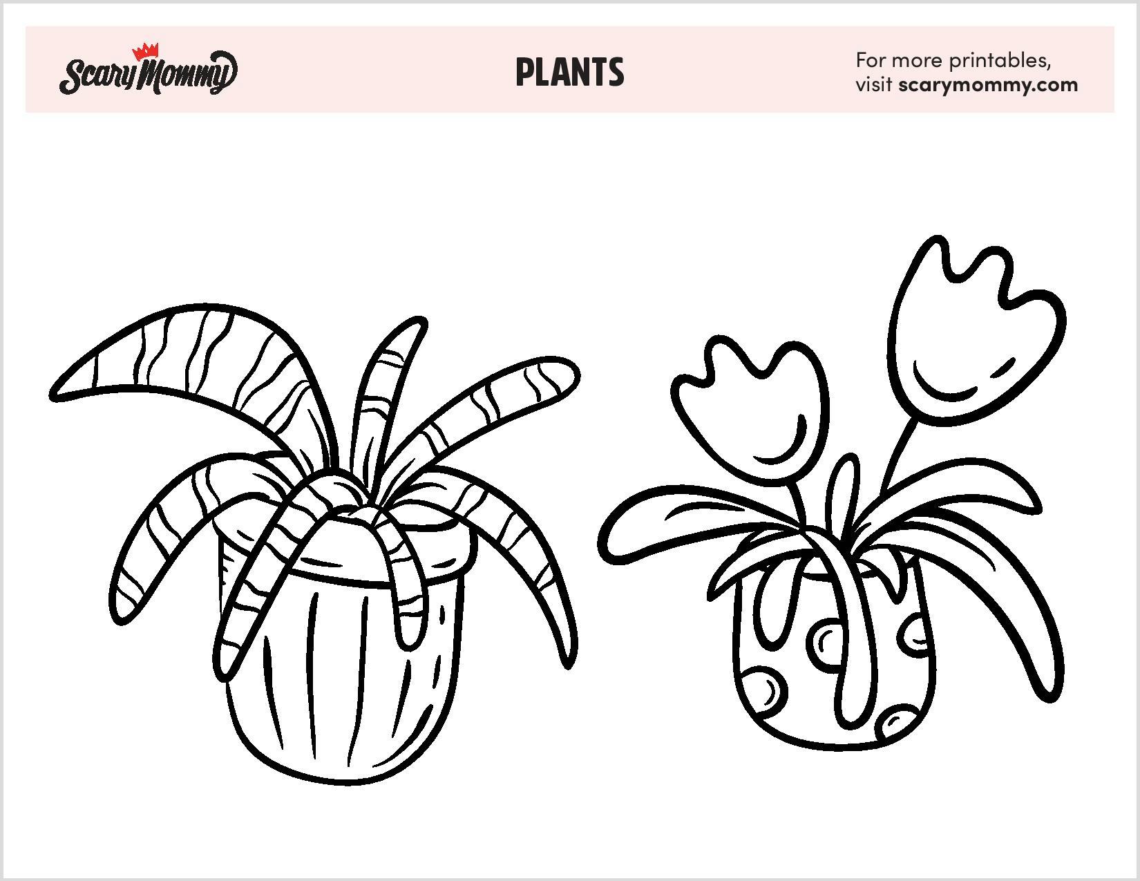 Botany Ferns Lately? 10 Plant Coloring Pages Perfect If Greenery Is ...