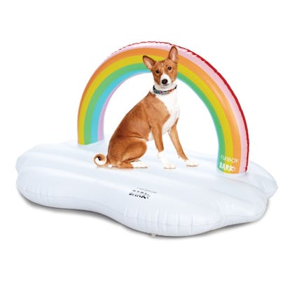 The Best Dog Pool Floats For Good Buoys (And Girls)