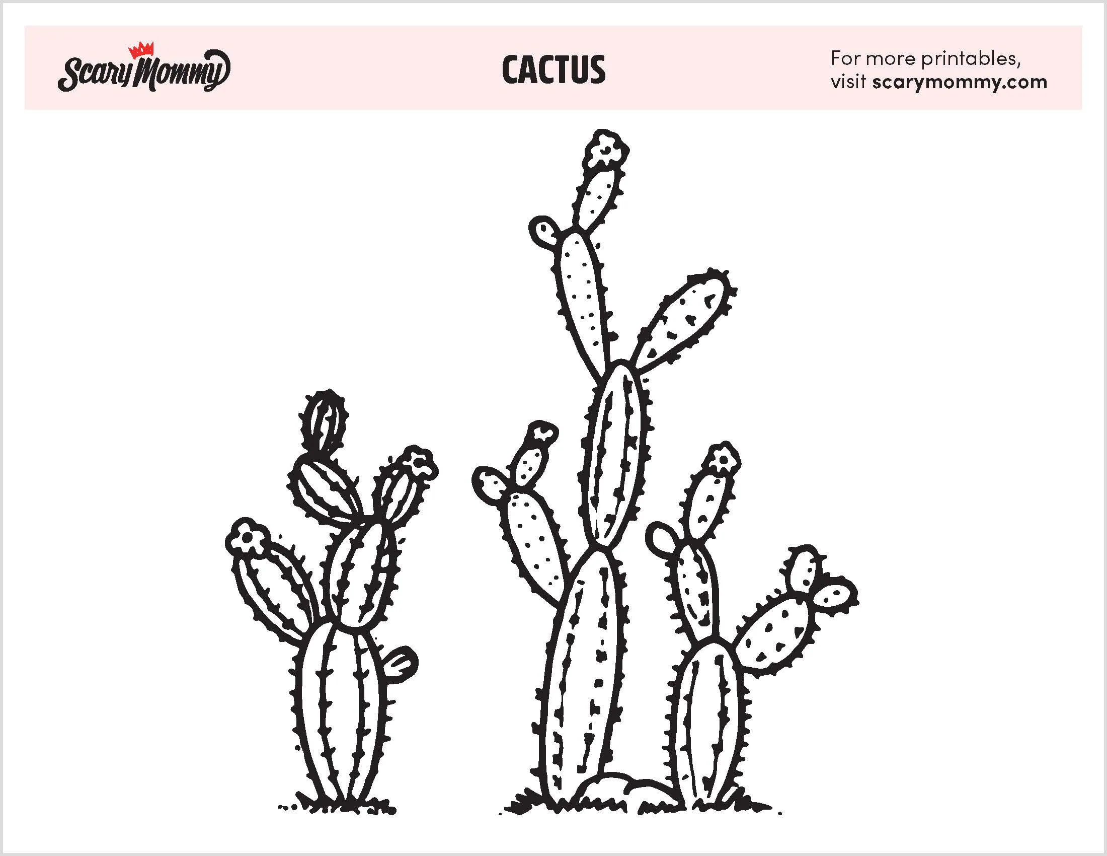 Pretty Fly For A Cacti! 10 Cactus And Succulent Coloring Pages That ...