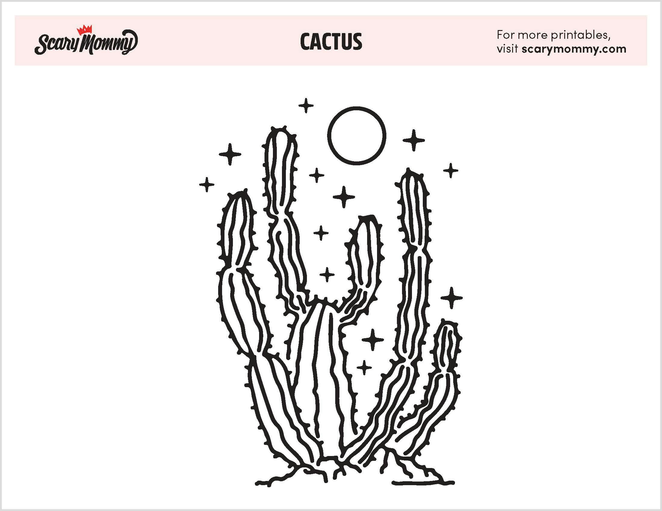 Pretty Fly For A Cacti! 10 Cactus And Succulent Coloring Pages That ...