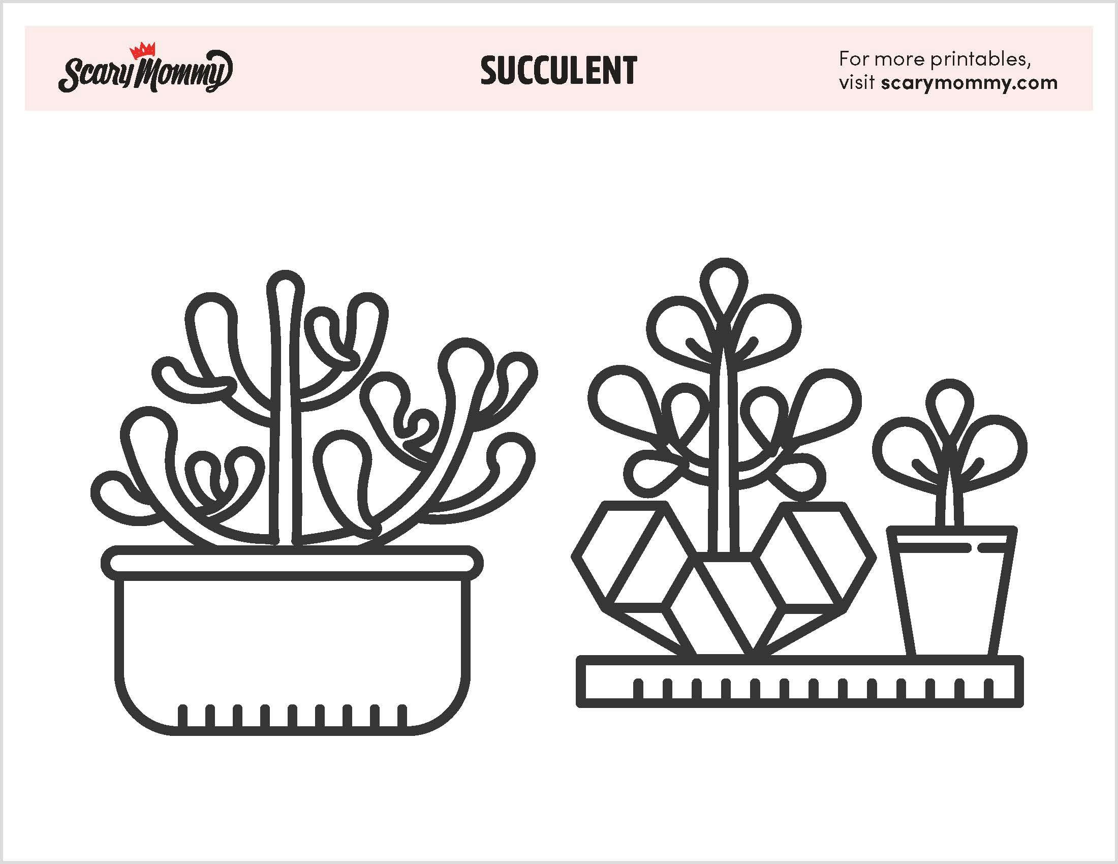 Pretty Fly For A Cacti! 10 Cactus And Succulent Coloring Pages That ...