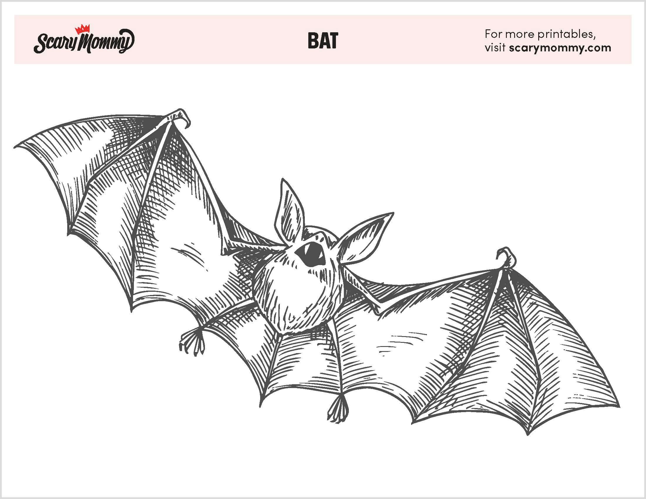 Print Out These 10 Free Bat Coloring Pages And Give Fangs For Bite Ideas