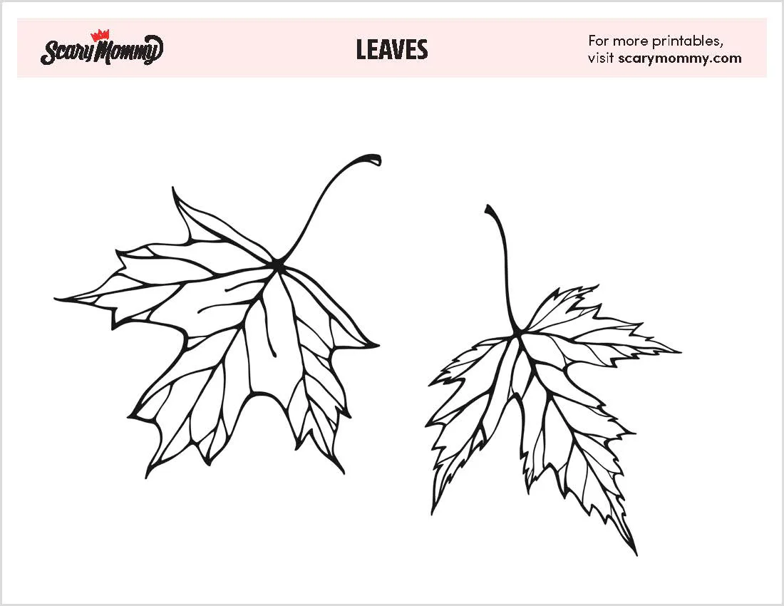 Photosynthesize Some Fun With These 10 Leaf Coloring Pages