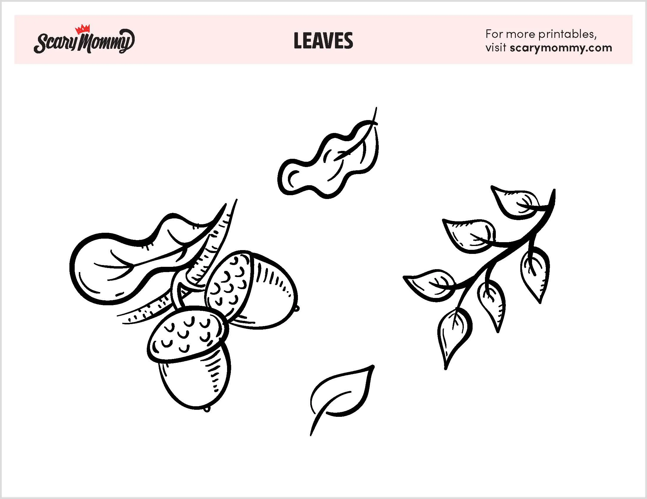Photosynthesize Some Fun With These 10 Leaf Coloring Pages