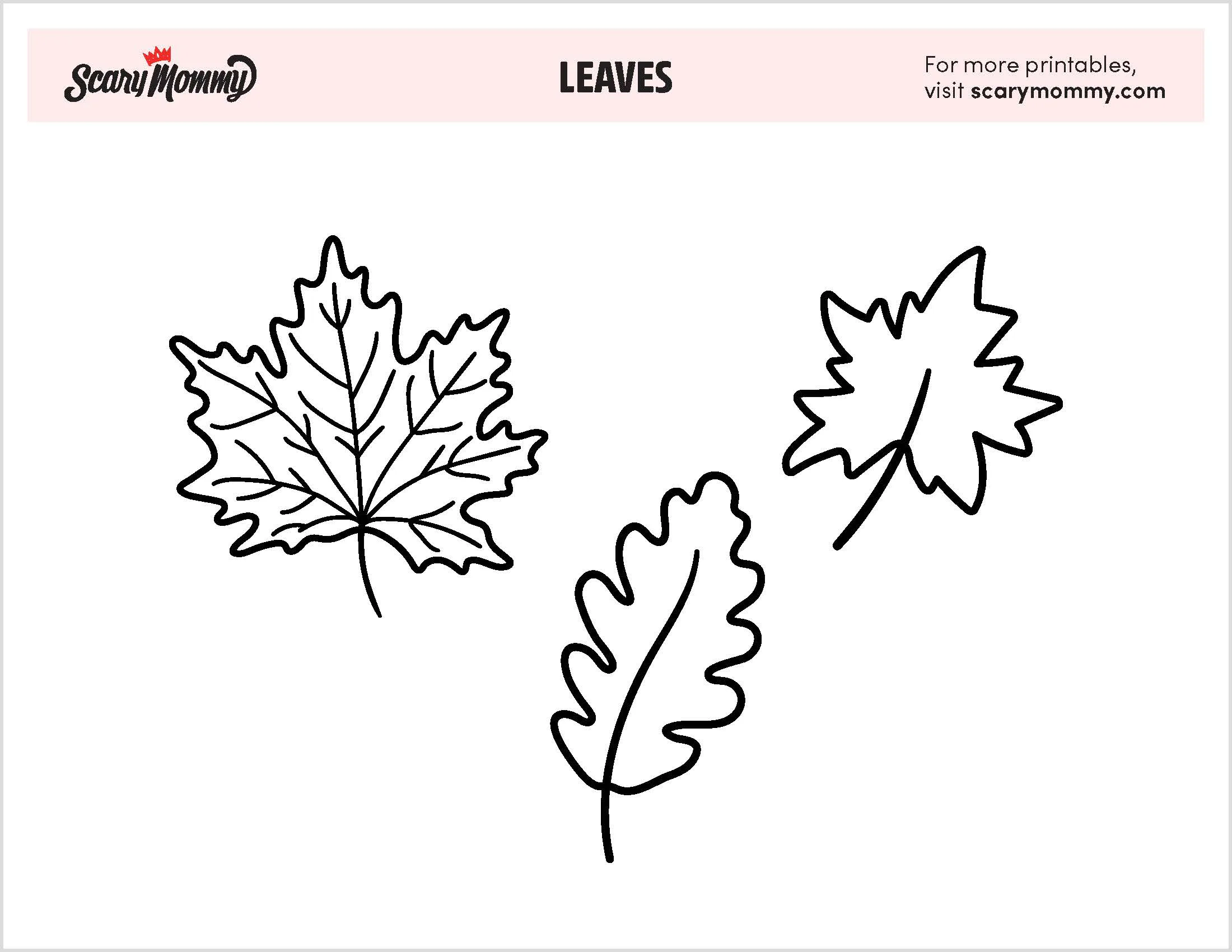 Photosynthesize Some Fun With These 10 Leaf Coloring Pages
