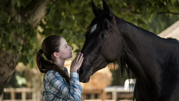 30+ High-Spirited Horse Movies To Trot Out On Movie Night