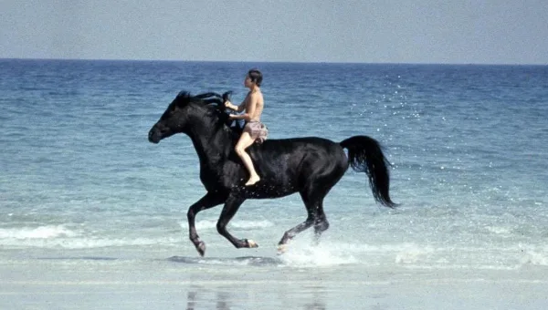 30+ High-Spirited Horse Movies To Trot Out On Movie Night