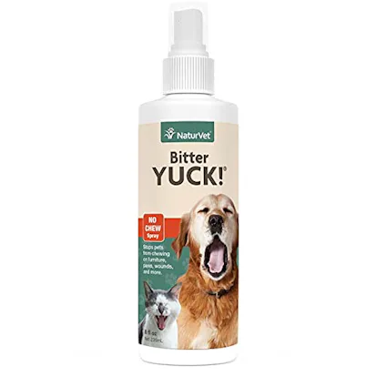 The Best Dog Anti-Chew Sprays So Your Pup Finally Leaves Your Shoes Alone