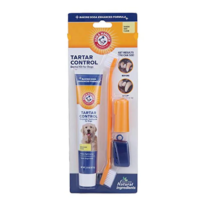 9 Best Dog Toothpastes For Fresher Puppy Kisses (And Healthier Teeth ...