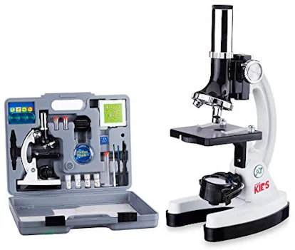 The Best Kids Microscopes For Bringing The Science Lab Experience Home