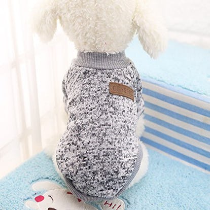 These Cute Dog Sweaters Are The Paw-fect Layer For Your Canine Companion
