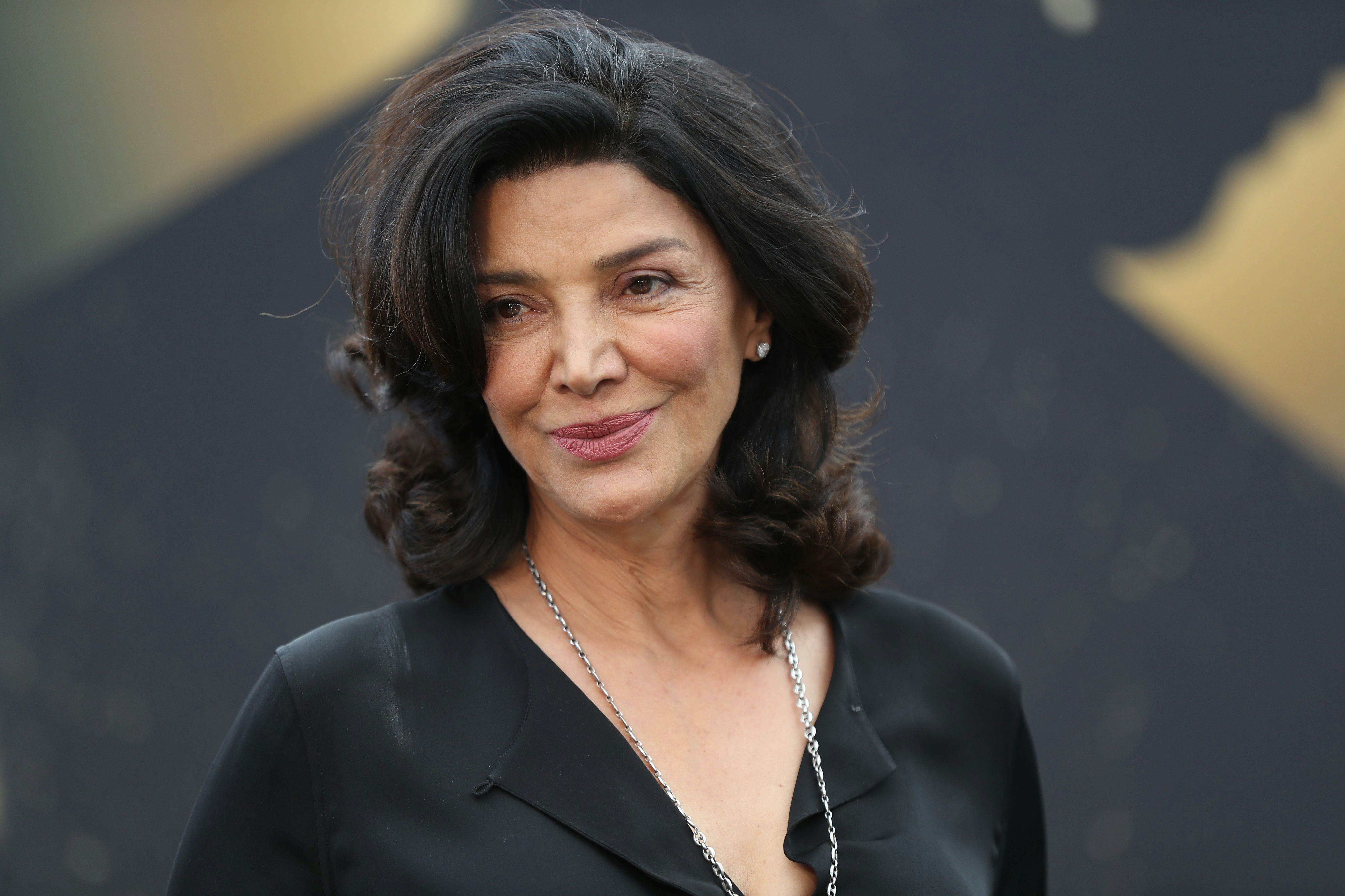 Who's Dinah Madani In 'The Punisher'? The Homeland Security Agent Will ...