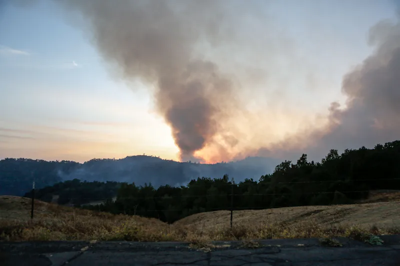 These Before & After Photos Of The California Wildfires Give A ...