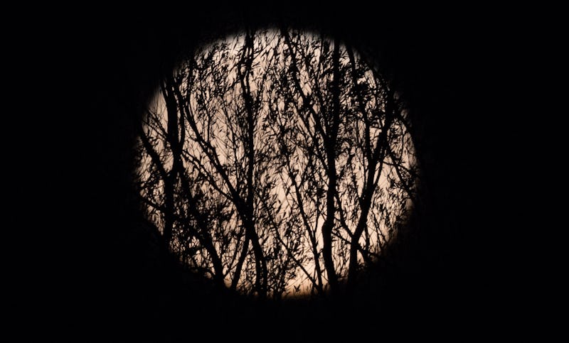 How To Celebrate Winter Solstice 2017, Based On Your Sign