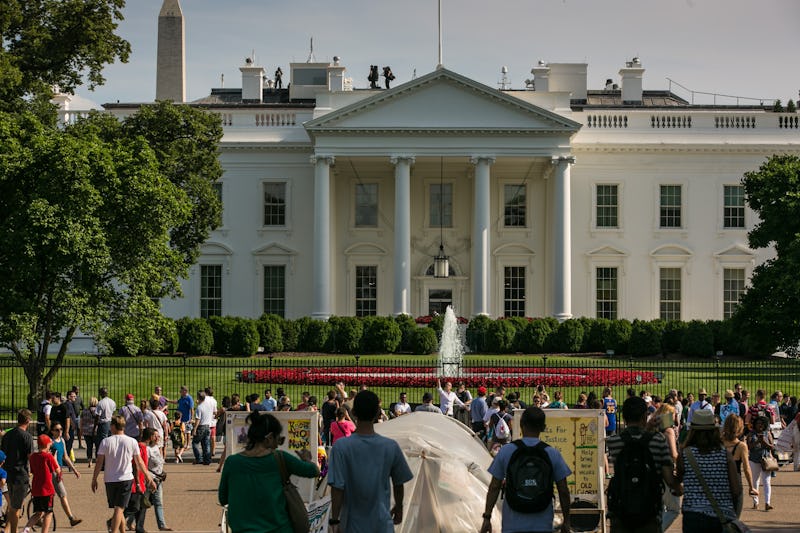 What Is The Jackson Magnolia? The White House Grounds Are About To Change