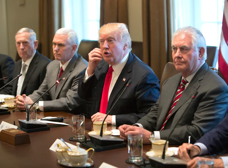 Trump's Cabinet Members Take Turns Showering Him With Praise — VIDEO