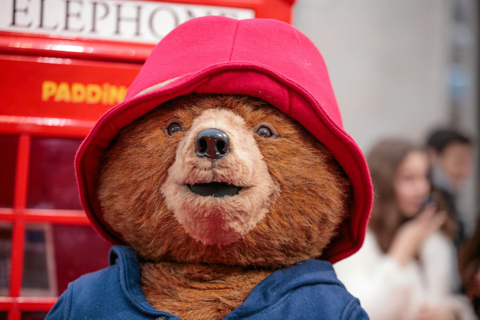 The 10 'Paddington Bear' Quotes That Will Always Inspire Joy