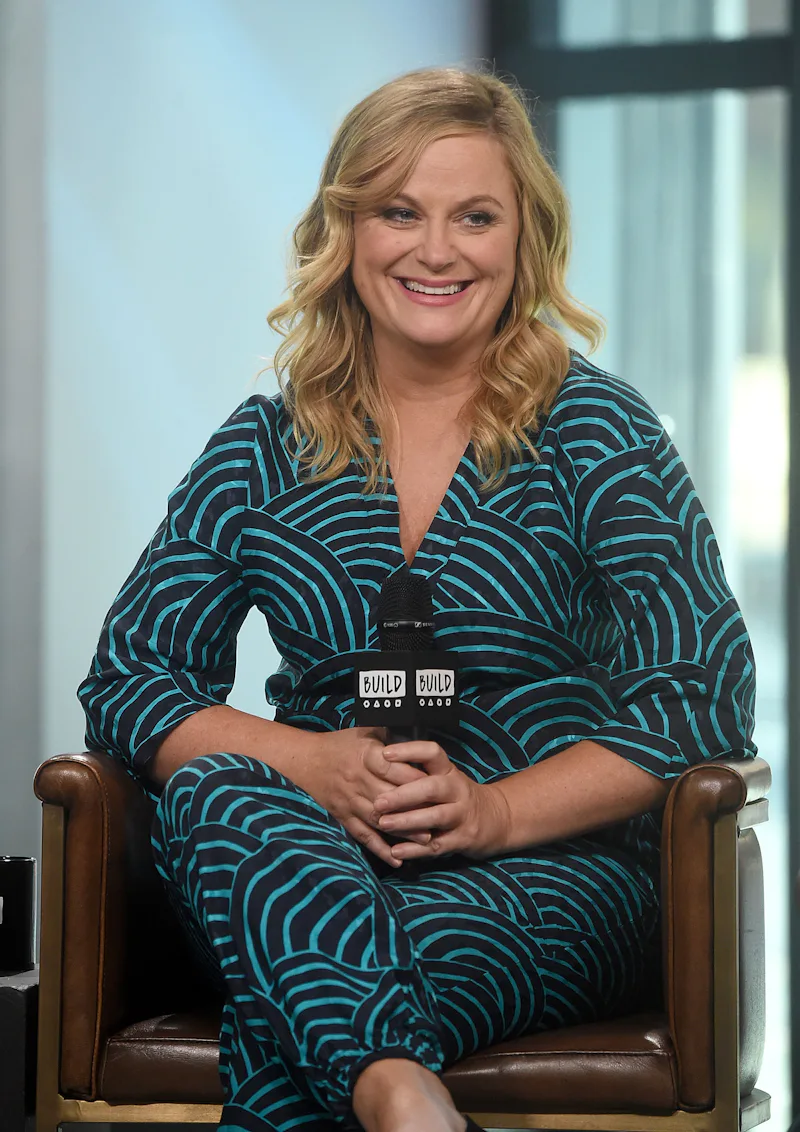 Amy Poehler Fact Checks Her IMDB Page, Including An Age Old 'Mean Girls ...