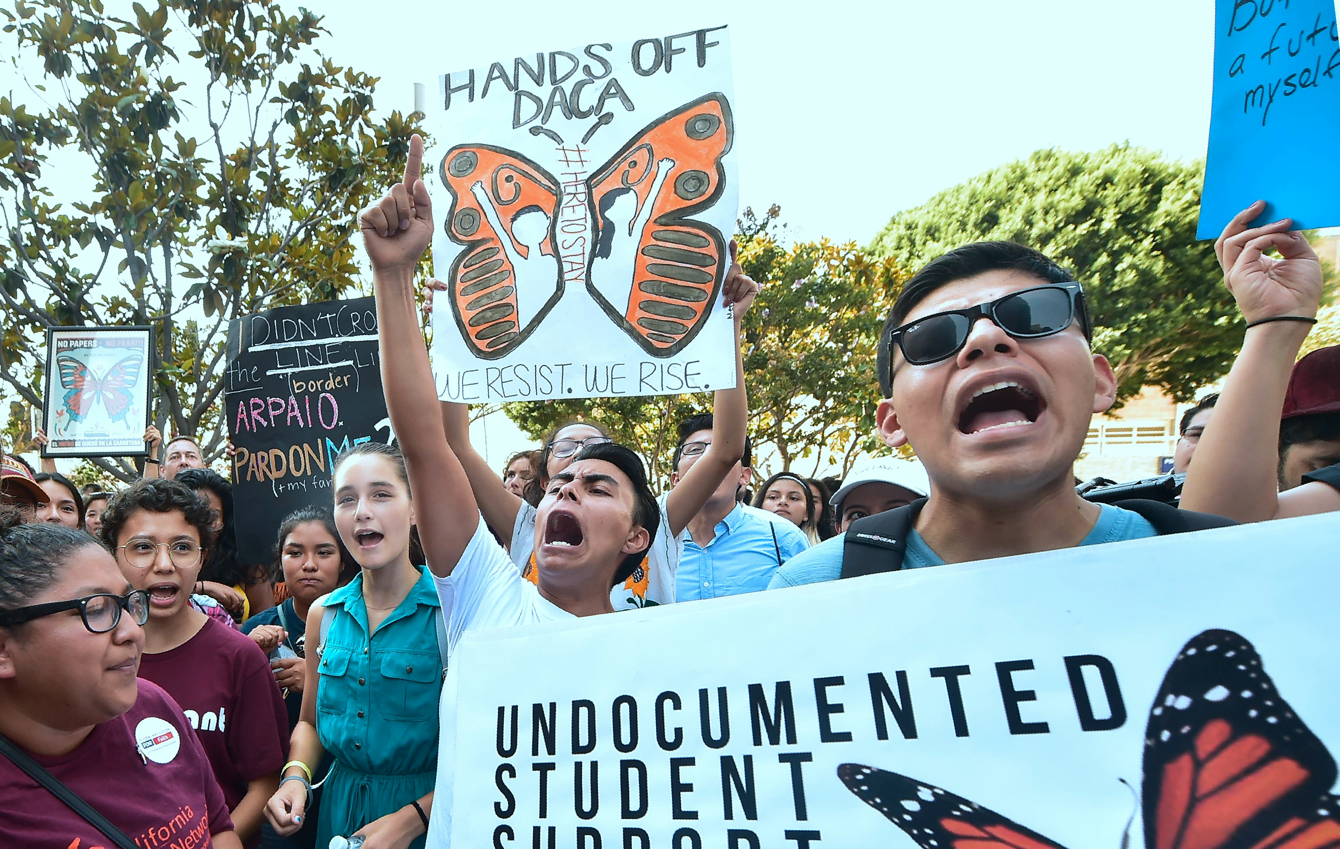 8 DACA Statistics That Show How Vital Dreamers Are To American Society