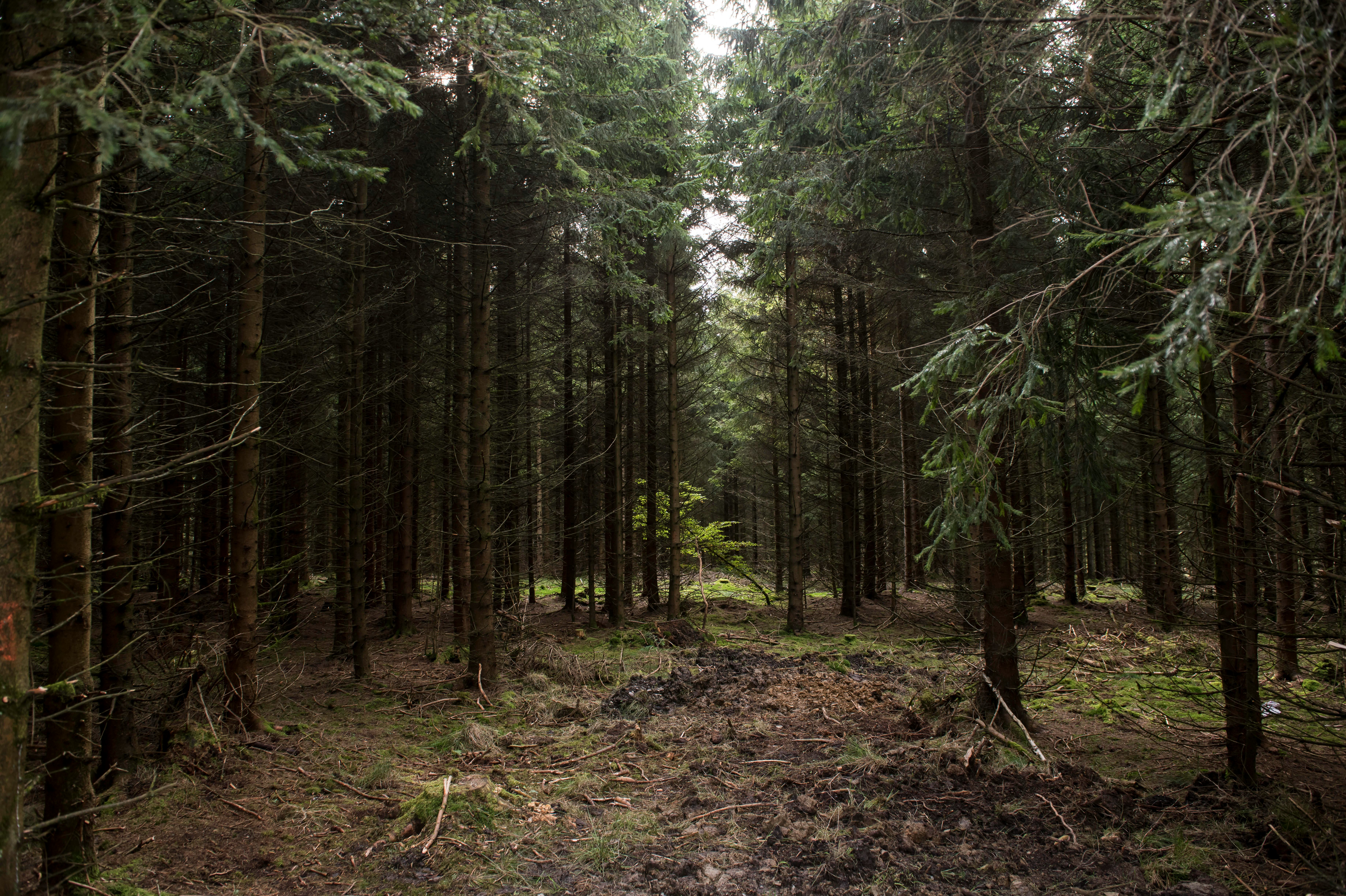 What Is Each State Known For? For July 4th, Each State's Claim To ...