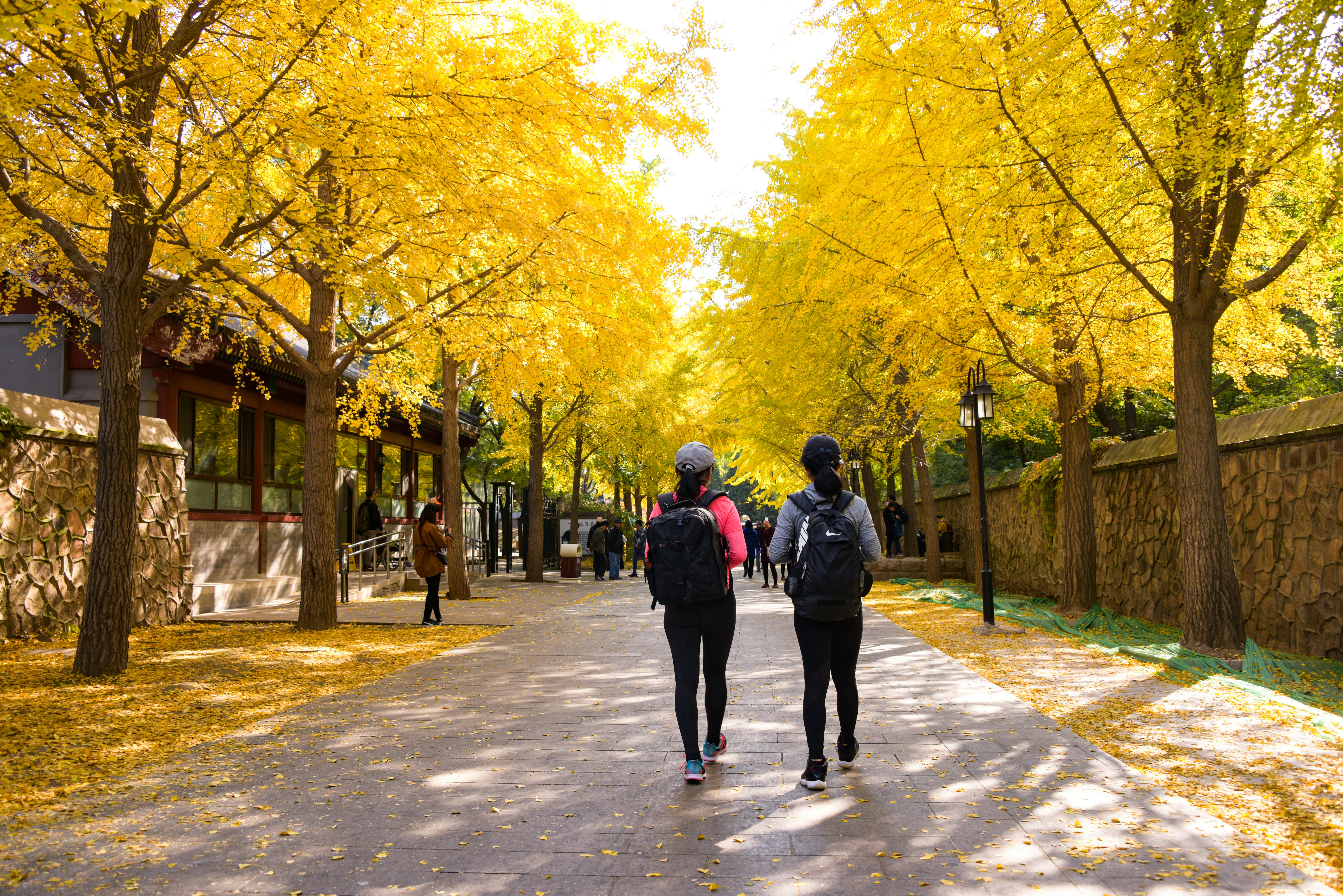 What Is Each State Known For? For July 4th, Each State's Claim To ...