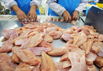 A Salmonella Outbreak From Raw Chicken Has Gotten 92 People Sick ...