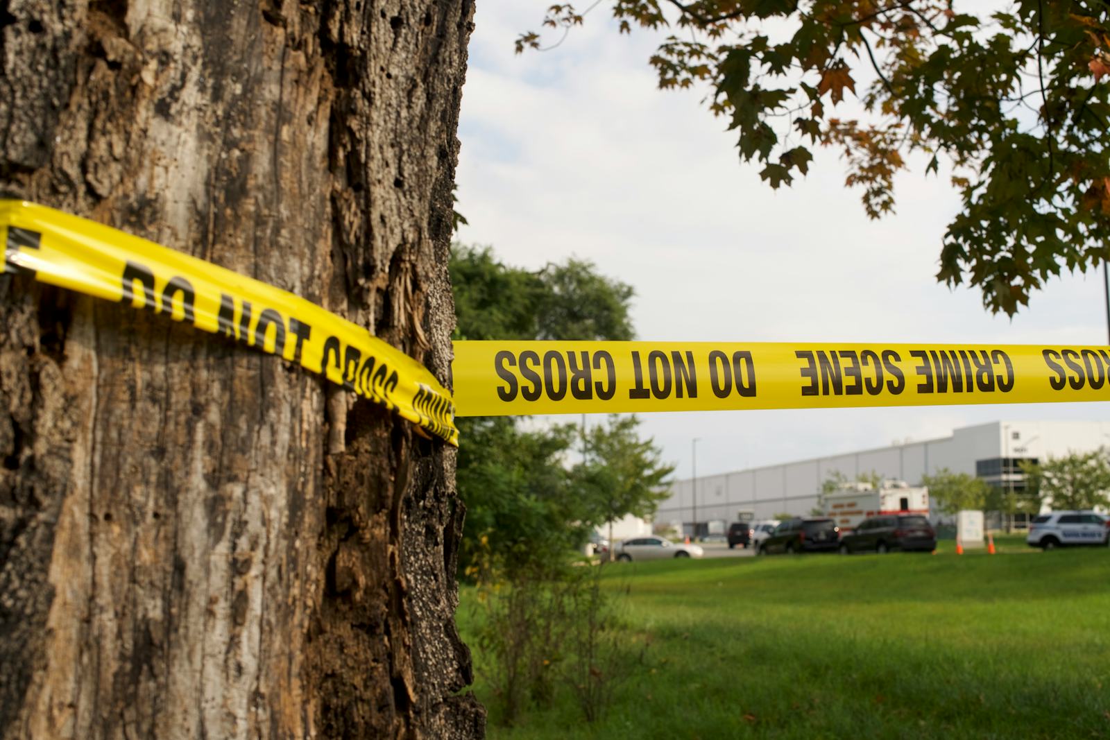 Is Dennis Gaede Still In Jail? 'To Catch A Killer: The Real Tim Wicks ...