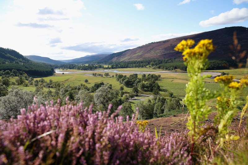 Nature Prescriptions For Chronic Illness Are Rolling Out In Scotland ...