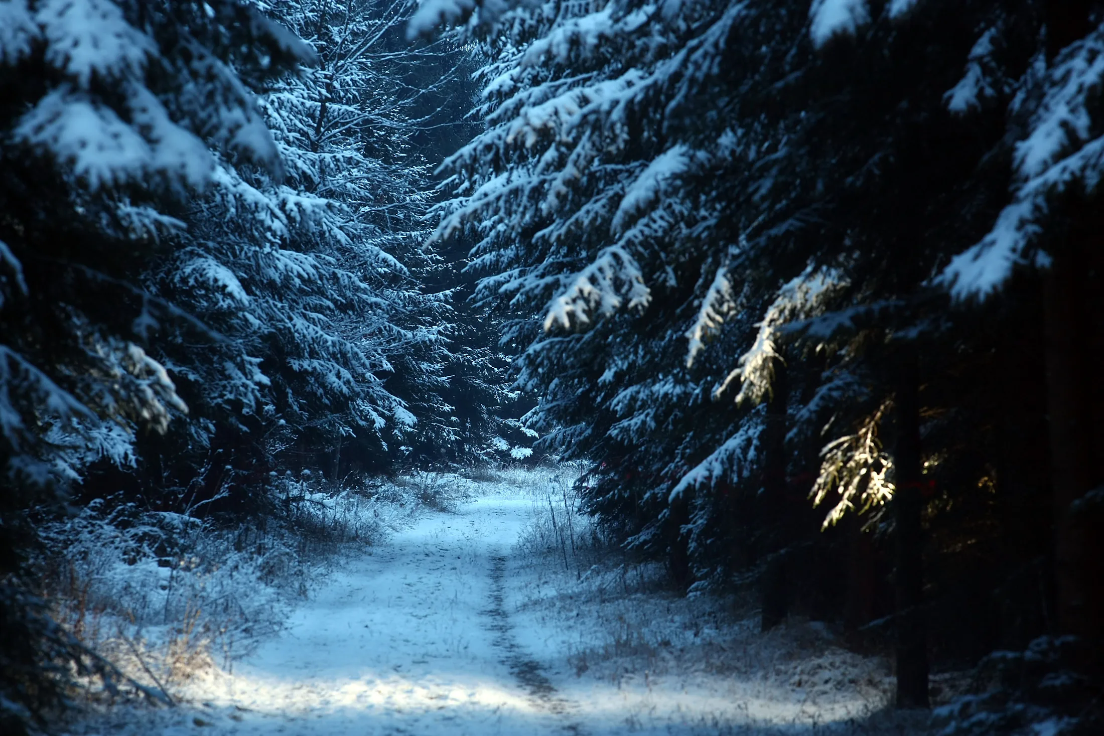 The 11 Best Wintry Quotes From Books To Make You Want To Build A Snowman
