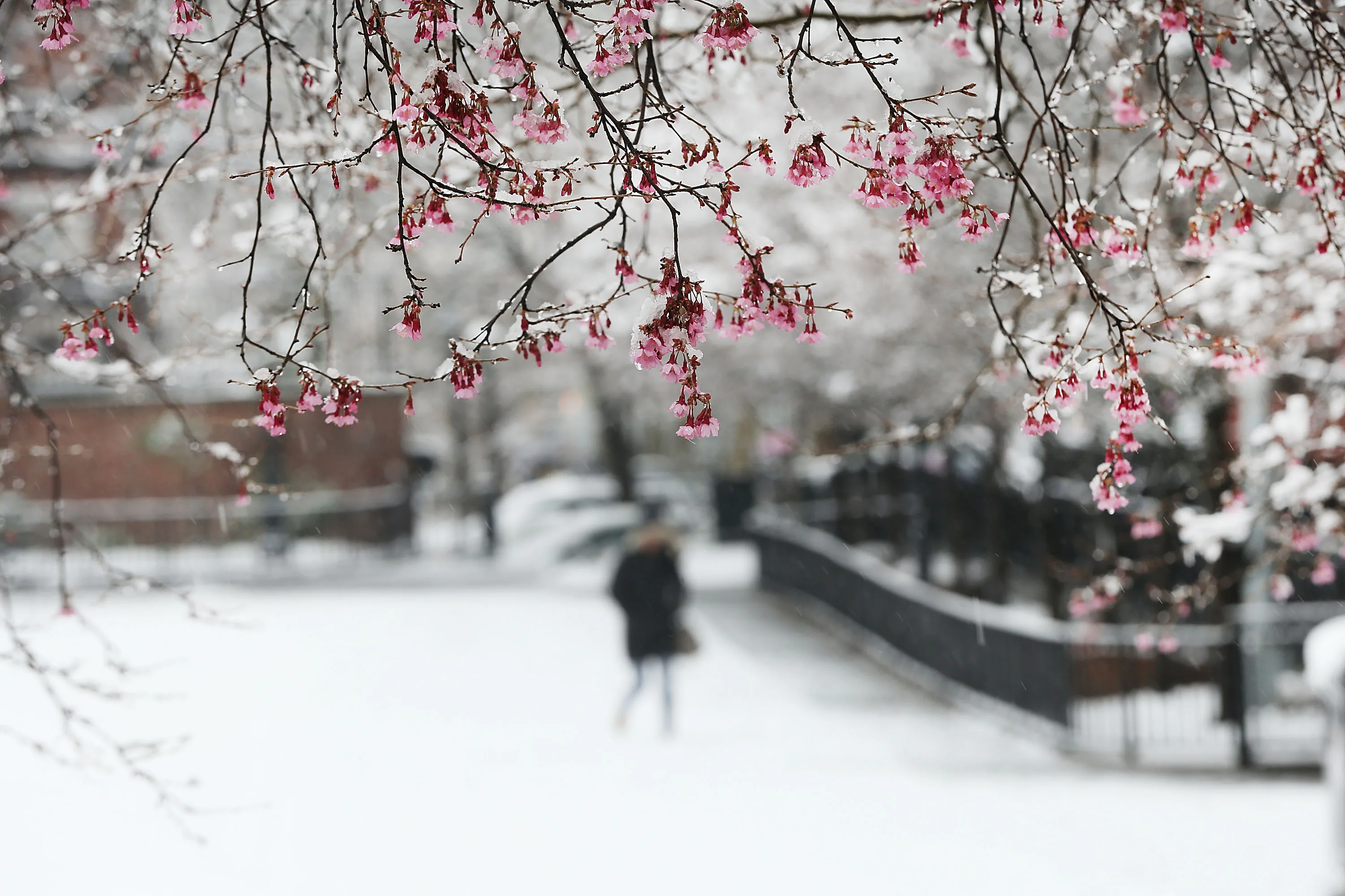 The 11 Best Wintry Quotes From Books To Make You Want To Build A Snowman