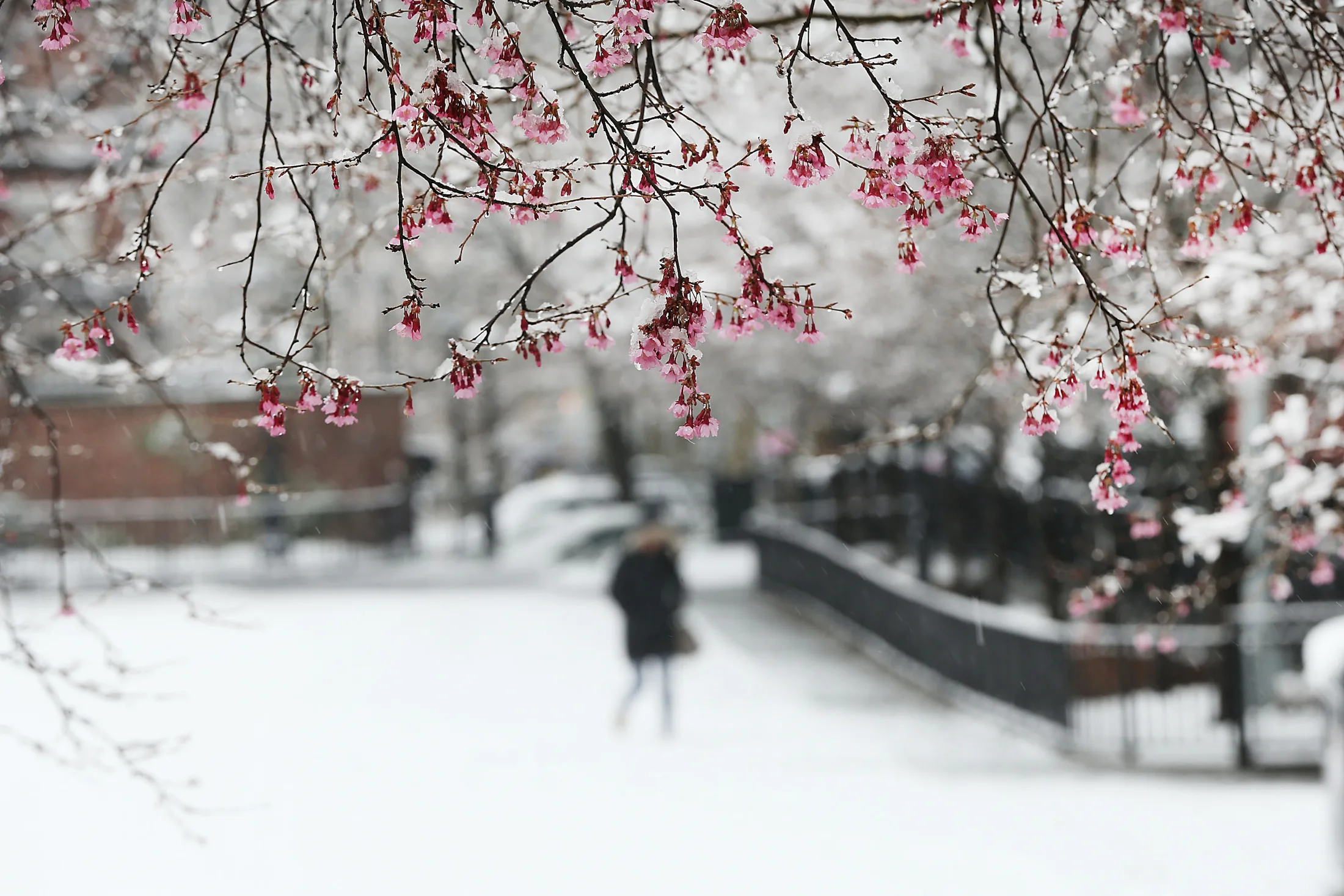 The 11 Best Wintry Quotes From Books To Make You Want To Build A Snowman