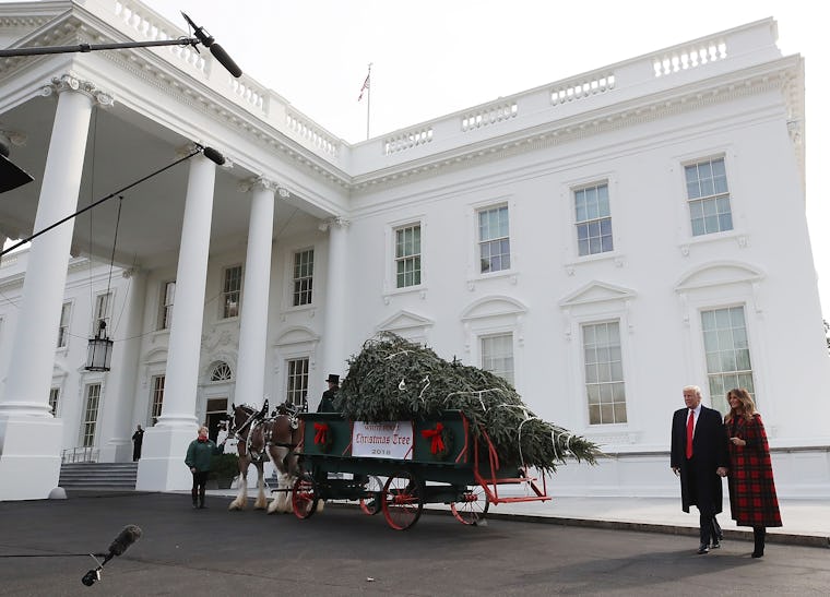 Photos Of The White House Christmas Trees Over The Years Show Each ...