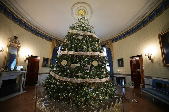 Photos Of The White House Christmas Trees Over The Years Show Each ...