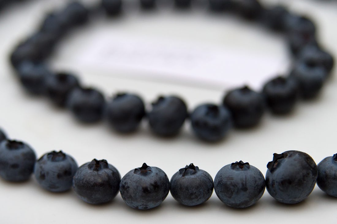 3 Ways Blueberries Can Benefit Your Skin And Hair, Plus Make A ...