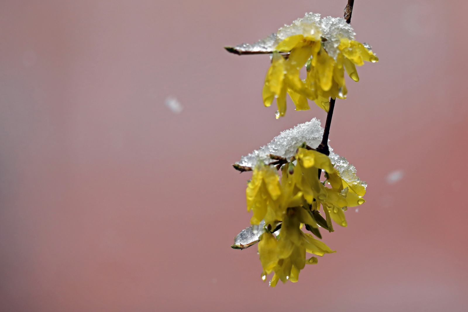 11 First Day Of Spring 2018 Memes That Capture Just How Desperate ...