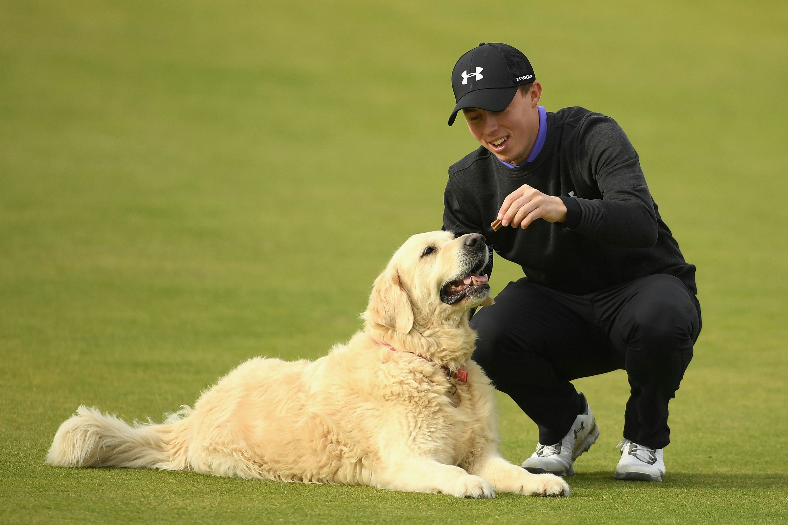 Why Do Dogs Smile? The Reason Will Make You *So* Happy