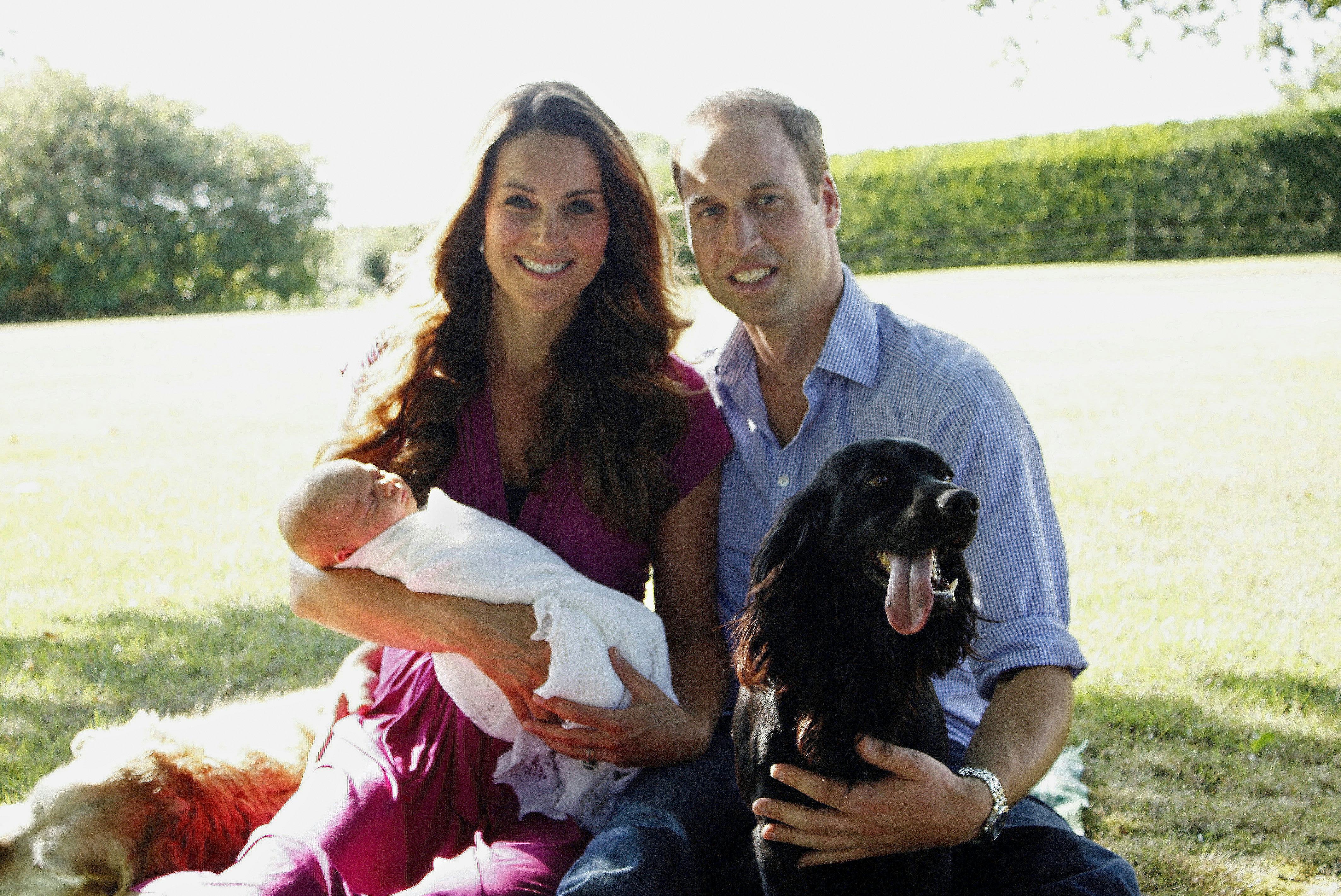 10 Royal Dog Breeds That Are Totally Cute & Loyal