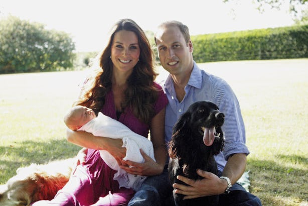 Does The Royal Family Have Pets? The Royal Family Has A History Of ...