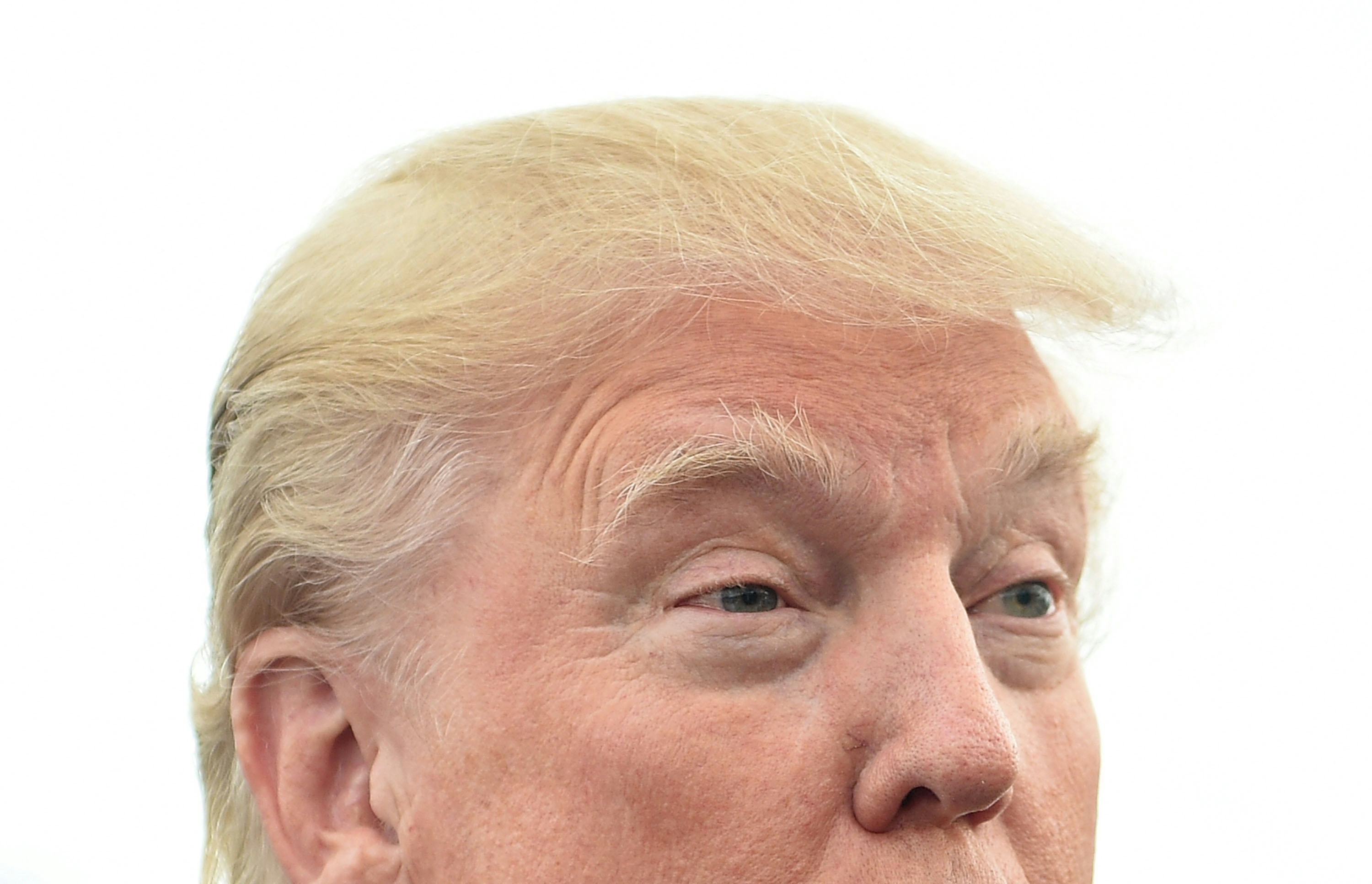13 Photos Of Donald Trump's Hair, Through Thick & Thin