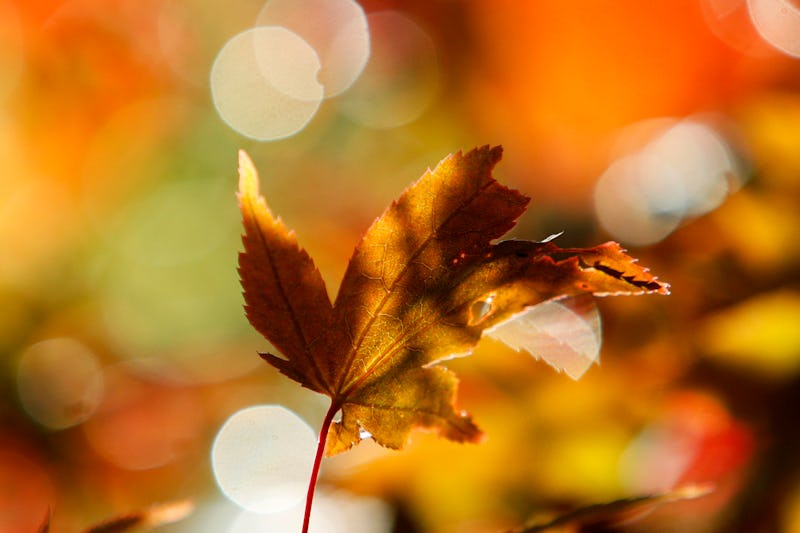 When Is The First Day Of Fall In 2018? Here’s Your Official Countdown ...