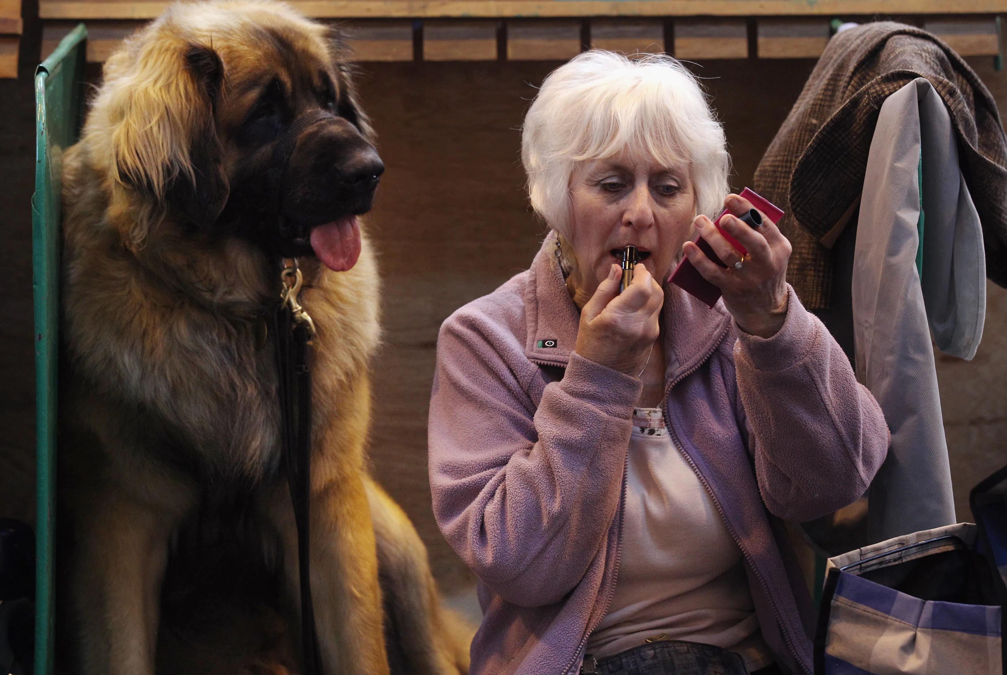 5 Myths About Owning Big Dogs That Aren’t Actually The Case