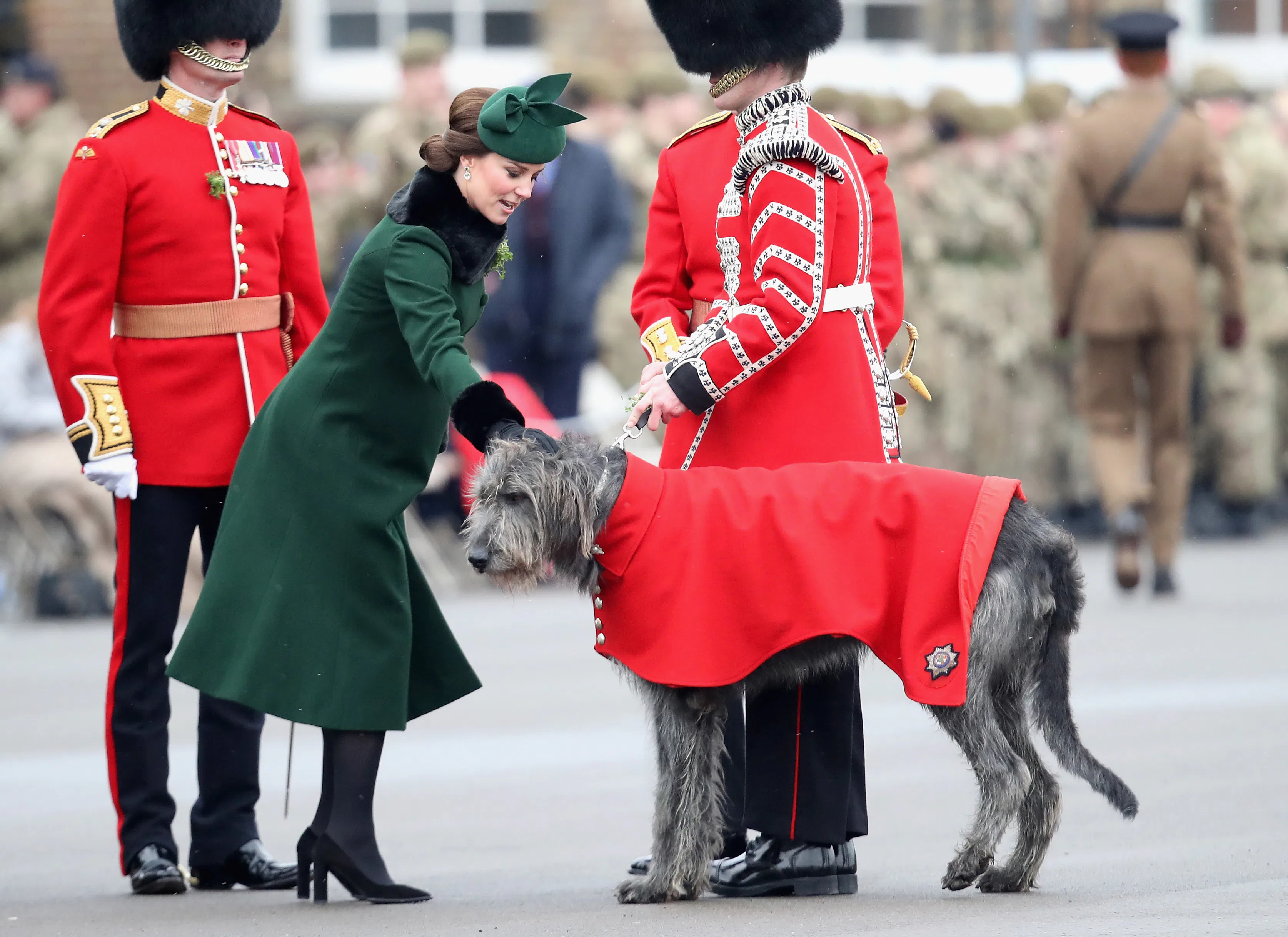 5 Myths About Owning Big Dogs That Aren’t Actually The Case