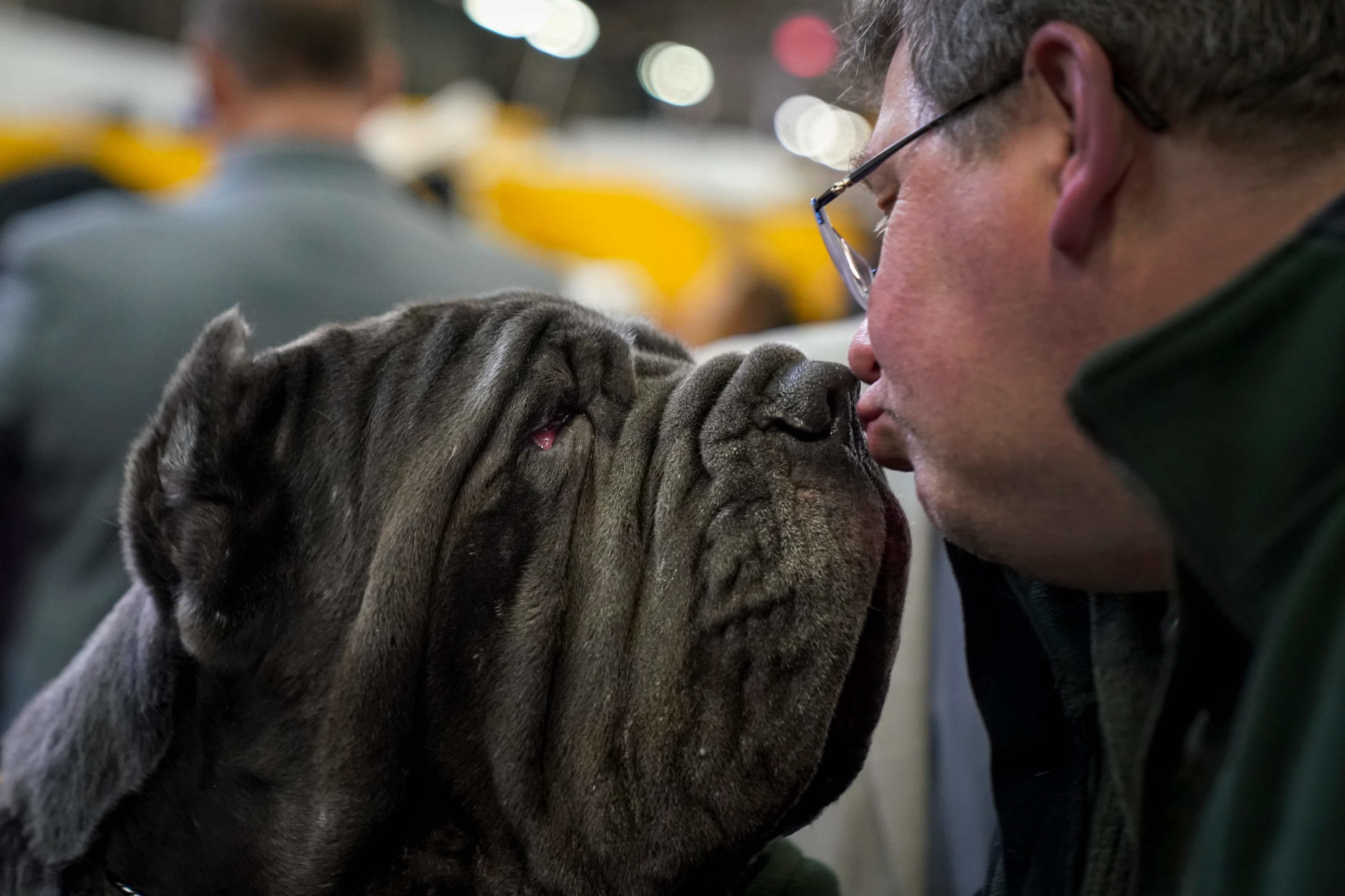 5 Myths About Owning Big Dogs That Aren’t Actually The Case