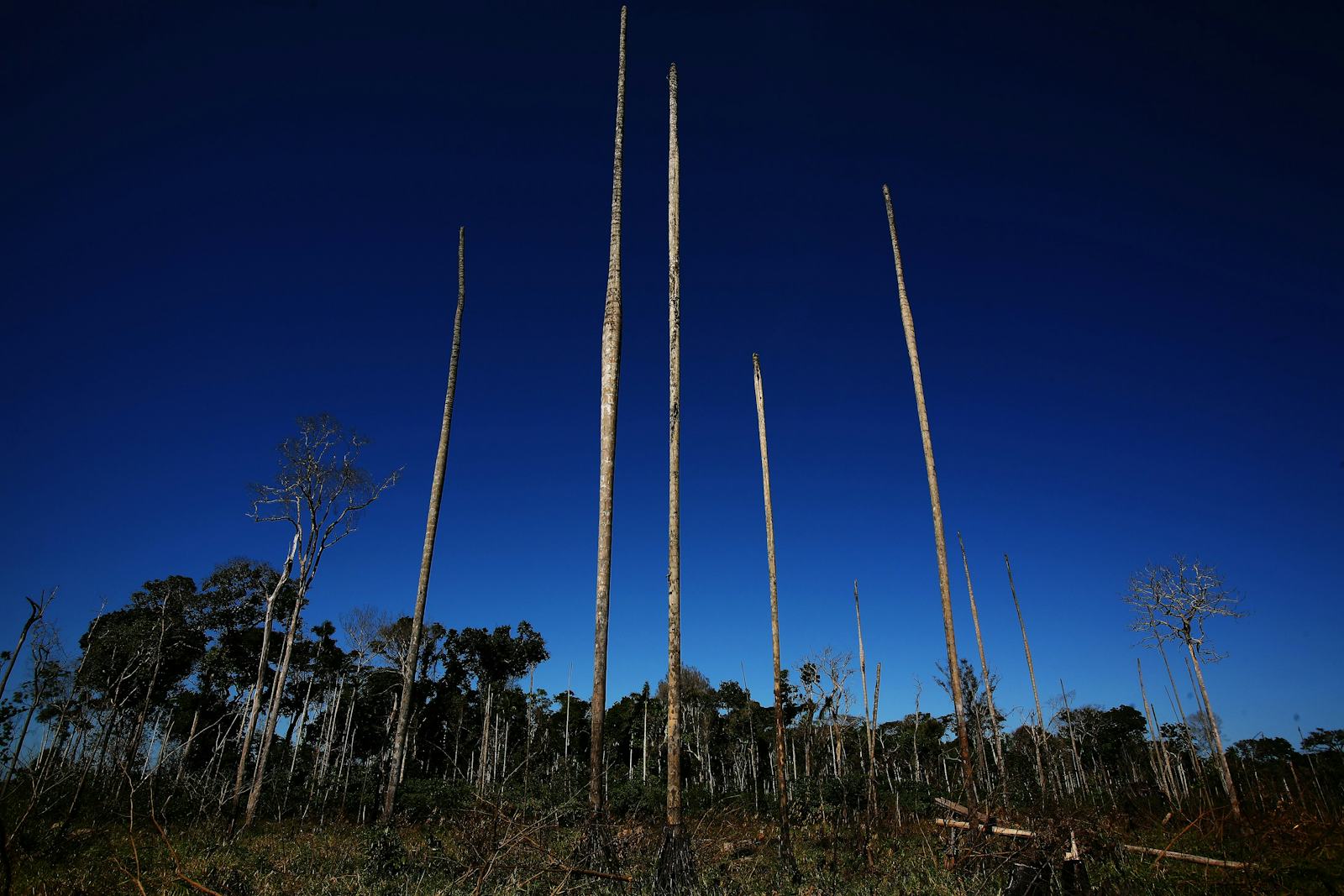 8 Female Environmentalists Changing The World Right Now